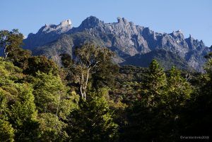 Summiting Mount Kinabalu via Timpohon Gate Borneo Experiences by ...
