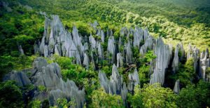 Explore Mulu National Park - Show Caves & Pinnacles Borneo Experiences ...